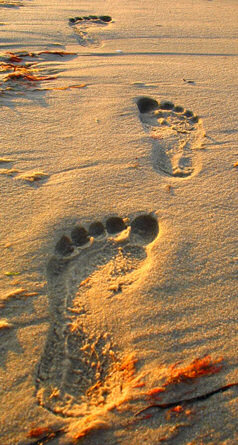 Spuren hinterlassen – Förderstiftung Kork